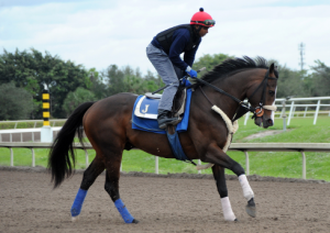 Adulator Archives - Centennial Farms