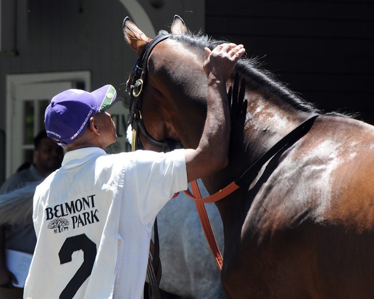 Adulator Archives - Centennial Farms