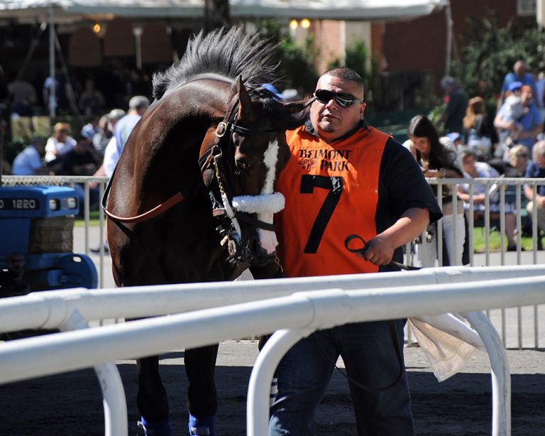 Adulator Archives - Centennial Farms