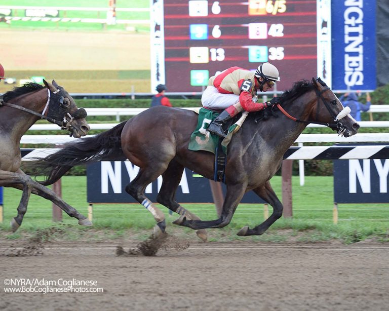 Adulator Archives - Centennial Farms