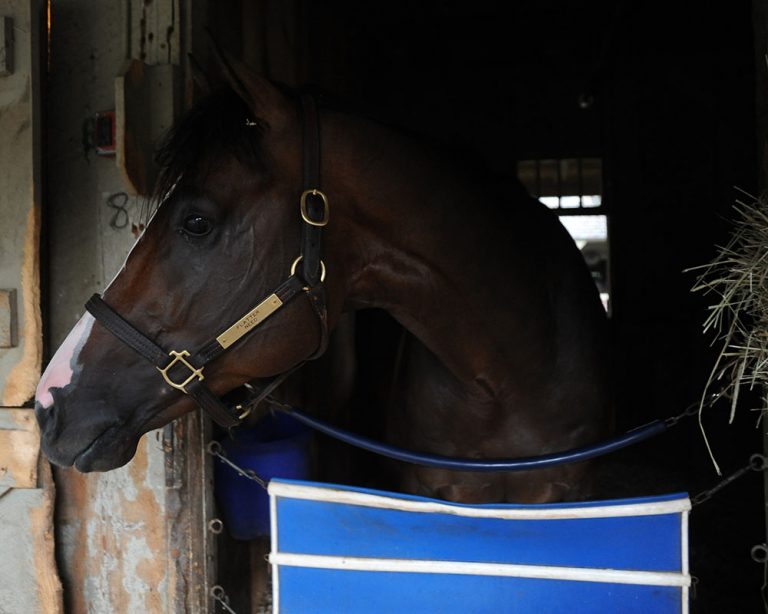 Adulator Archives - Centennial Farms