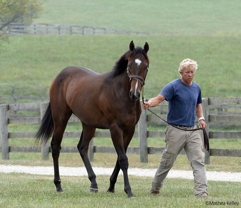 Allegiant Thoroughbred Racing Partnership - Centennial Farms