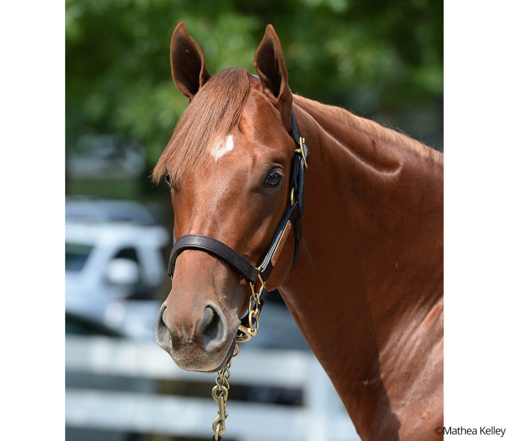 Allegiant Thoroughbred Racing Partnership - Centennial Farms